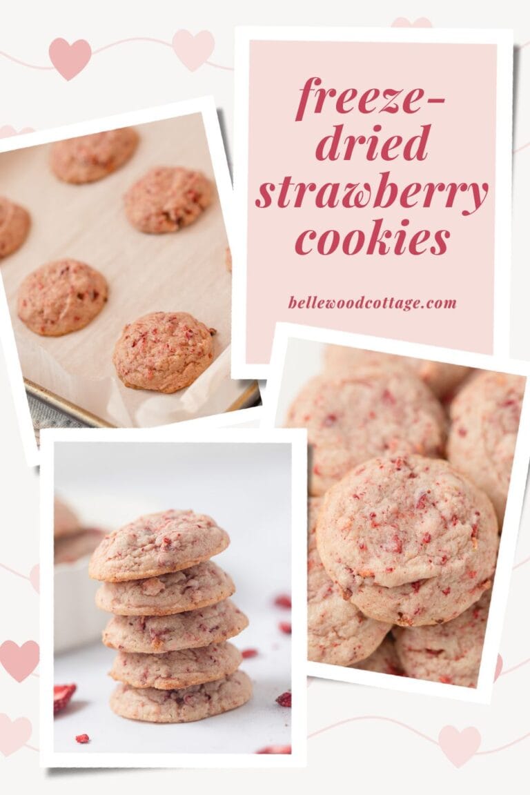 Freeze-Dried Strawberry Cookies - Bellewood Cottage